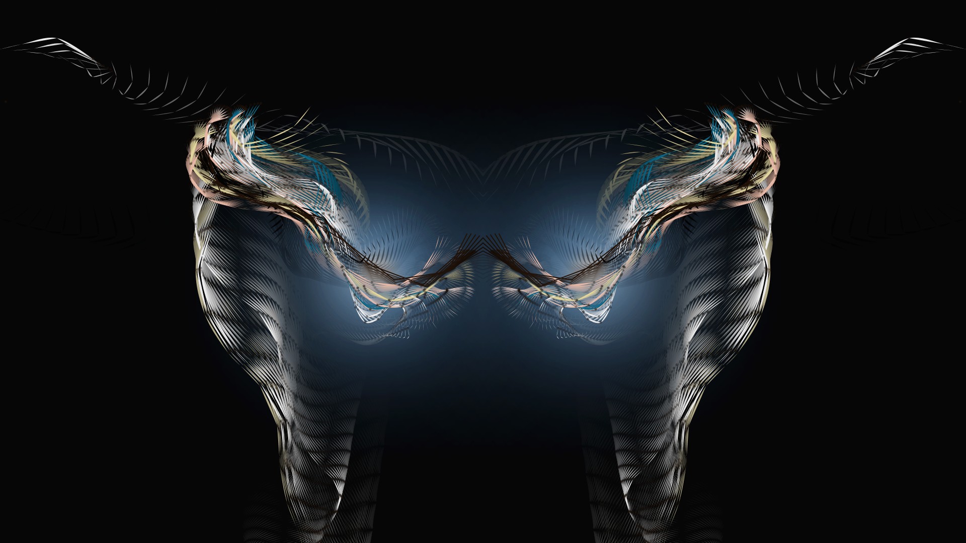Alba G. Corral – coder – visualist – artivist